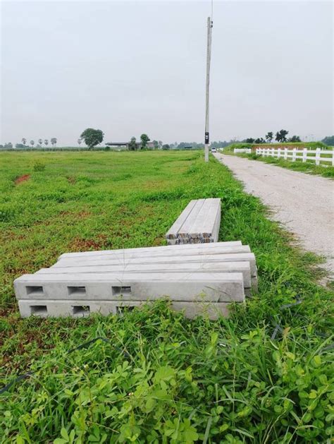 จัดส่ง รั้วคาวบอย 3 ชั้น ต หนองประดู่ อ เลาขวัญ จ กาญจนบุรี ฮ โฮม รั้วคาวบอย 081 467 4663