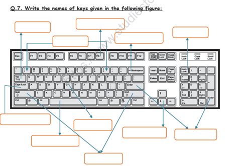 Cbse Class 3 Computer Practice Worksheet
