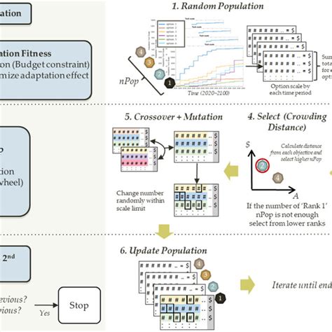 Flow Of Optimization Model Nsga Ii Download Scientific Diagram