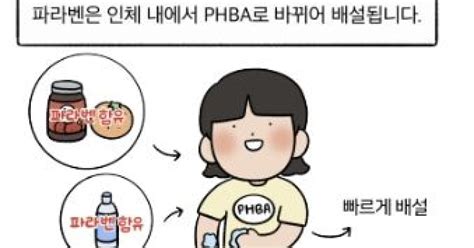 보존제 파라벤 극소량만 사용가능…기준 지키면 안전