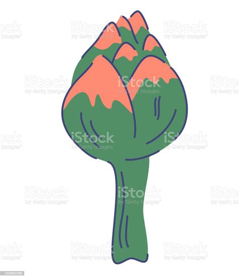 아티초크 녹색 꽃 머리 신선한 천연 야채 조리법 레스토랑 메뉴 및 음식 요소로 건강한 음식이나 자연 디자인을 위한 벡터 일러스트레이션 음식에 대한 스톡 벡터 아트 및 기타