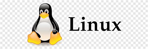 Linux Server Logo