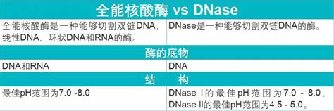 逐典小课堂 Pannarase全能核酸酶与dna酶的差异介绍 知乎