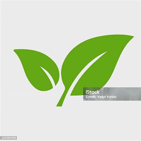 녹색 잎 아이콘 로고입니다 나무와 식물의 잎 나뭇잎 아이콘입니다 자연 에코 바이오 비건 라벨을 위한 요소 디자인 벡터 일러스트 레이 션 0명에 대한 스톡 벡터 아트 및 기타