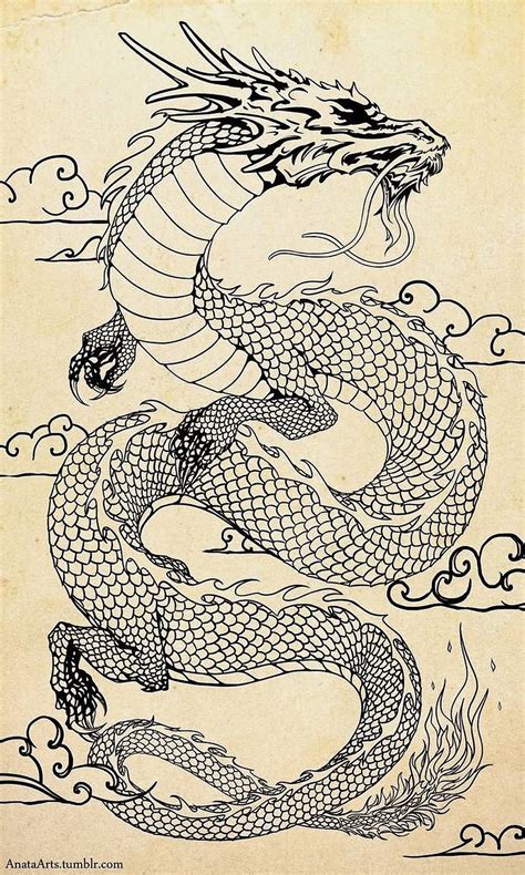Traditional Japanese Dragon Drawing