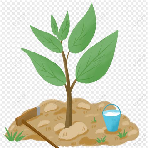 Seedling Clipart Sapling Cute Borders Sapling Clipart Png Clip Art Library