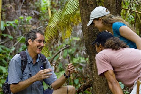 하와이 화산 국립공원 하이킹 투어 Kkday