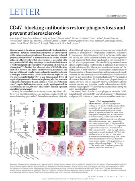 Cd47 Blocking Antibodies Restore Phagocytosis And Prevent