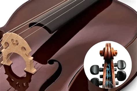 Cello Strings Tuning The Ultimate Guide Teds List