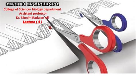 Geneticengineeringwithenzymeslecture 4pptx