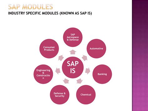 Sap Audit Basic Pptx