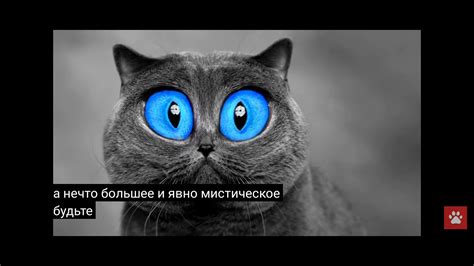 вырезанный короткий фрагмент Youtube