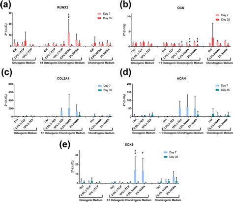 after normalization to each sample s relative gapdh expression the download scientific diagram