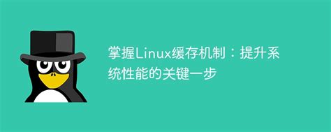 深入了解linux缓存机制：优化系统性能的关键步骤 美云