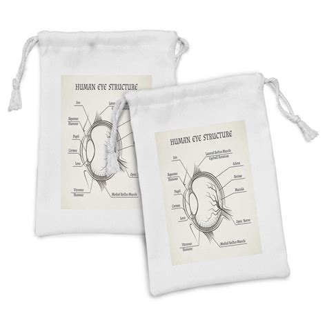 Biology Fabric Pouch Set Of 2 Structure Of Human Eye Anatomy Iris