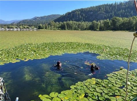 Floating Benthic Mat Pilot Project Regional District Of Kootenay