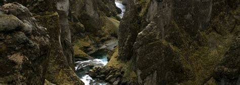 How To Write A Band 6 Module C Discursive Essay New Syllabus