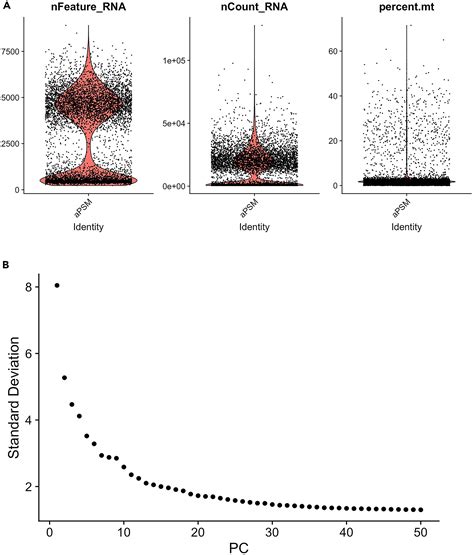 Cell Press Star Protocols