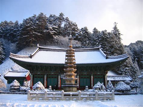 Traveling To South Korea Heres Why You Should Check Out Gangwon Do