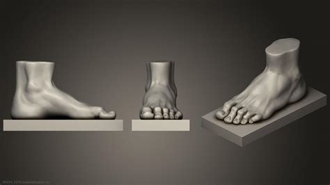 Foot Reference 3d Weekly Anatomy Challenge Week 5 Foot