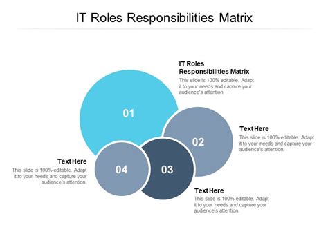 It Roles Responsibilities Matrix Ppt Powerpoint Presentation Summary Diagrams Cpb Pdf