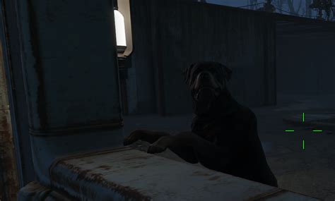 Aaf Sexual Harassment 12202024 Page 144 Downloads Advanced