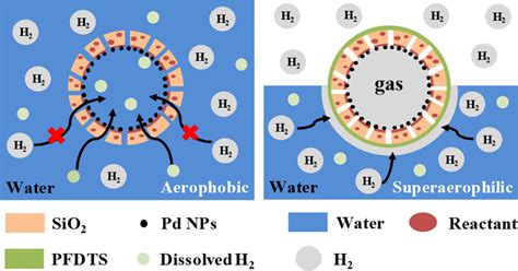 Schematic Illustration Of Gas‐liquid‐solid Three‐phase Reaction