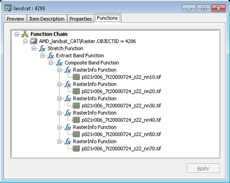 Raster Function Chain Used To Create The Raster Value In The Mosaic Download Scientific Diagram