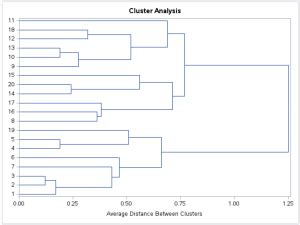 How To Use PROC CLUSTER In SAS With Example