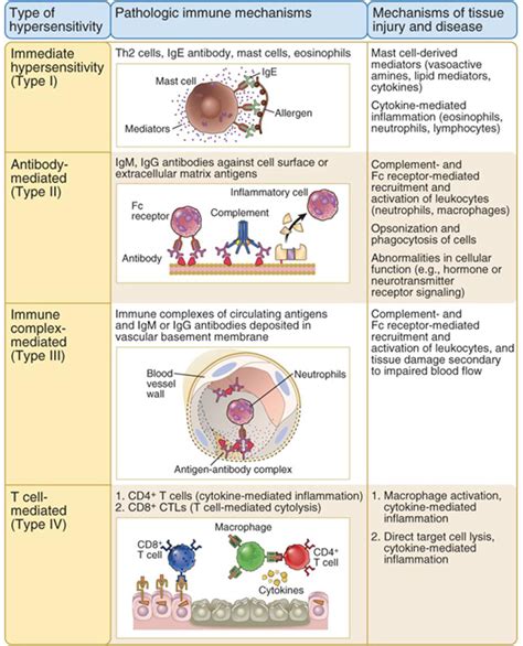 Severe Combined Immunodeficiency Mind Map