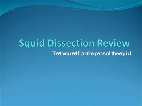 Squid Dissection Review Ppt