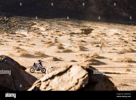 26 Dabrowski Konrad Pol Duust Rally Team Husqvarna Moto Fim W2rc