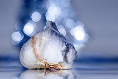 마늘 정향 채소 Pixabay의 무료 사진 Pixabay