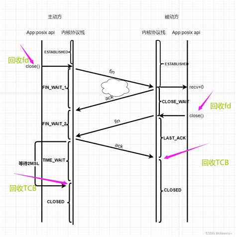 Posix Api 与 网络协议栈 详细介绍cheems~的博客 Csdn博客
