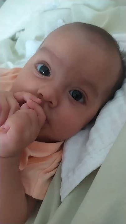Mi Hermosa Sobrina Youtube