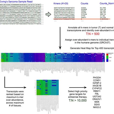 Compusyn Combination Index A At Ed 50 Values Download Table