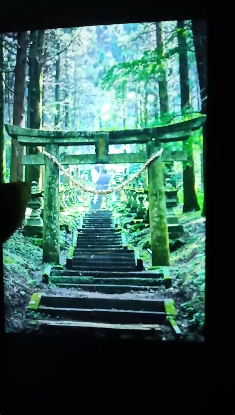 Scarlett Monroe Sucking Black Dong And Getting Fucked Very Hard Gay Porn Xhamster