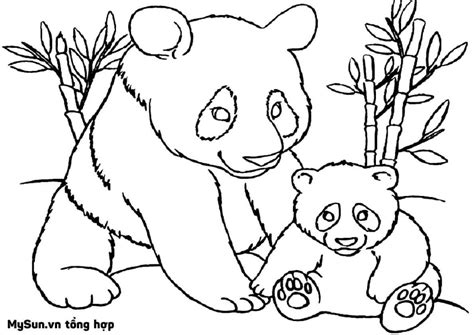 Hướng Dẫn Tô Màu Hình Con Gấu Đáng Yêu