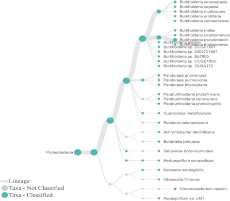 Maximum Parsimony Tree Of Classified Species Of Organisms Download Scientific Diagram