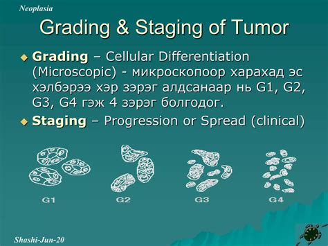 Pathology Of Neoplasia Ppt