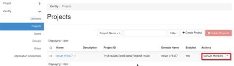 Tenant Manager Users And Roles On Cloudferro Cloud — Cloudferro Cloud 0