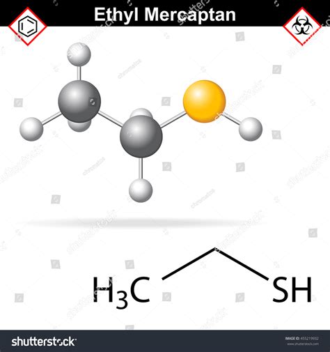Ethyl Mercaptan Chemical Structure Odorant Natural Stock Vector Royalty Free 455219932