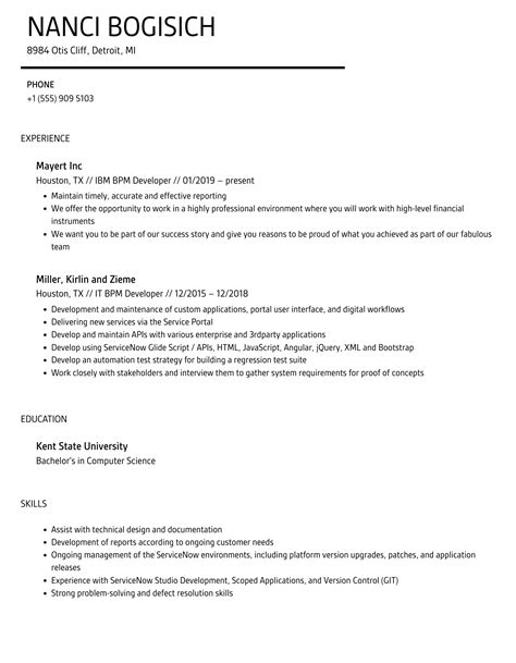 BPM Developer Resume Samples Velvet Jobs