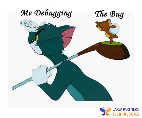 Debugging Software Bug Software Development Software Engineer