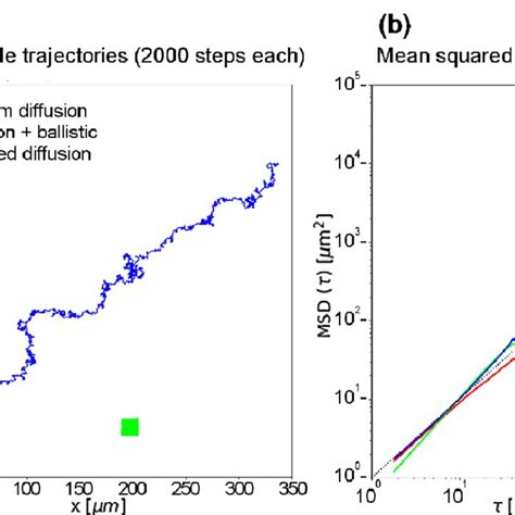 three possible types of the particle movement generate three distinct