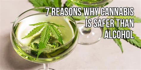 7 Reasons Why Cannabis Is Safer Than Alcohol Ape Premium Cannabis