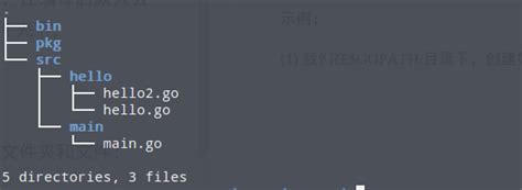 Golang Import 包问题相关详解go Import 子包 Csdn博客