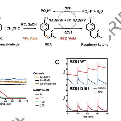 One Pot Biosynthesis Of Raspberry Ketone Under Optimised Enzyme Download Scientific Diagram