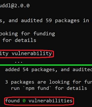 Researchers Find A Way Malicious NPM Libraries Can Evade Vulnerability Detection Vumetric