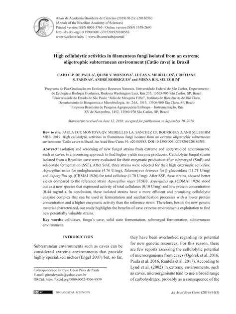 Pdf High Cellulolytic Activities In Filamentous Fungi Isolated From An Extreme Oligotrophic